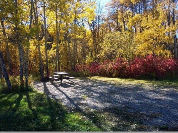 New Trail System at Pipestone Creek Campground Opens - Modern Campground