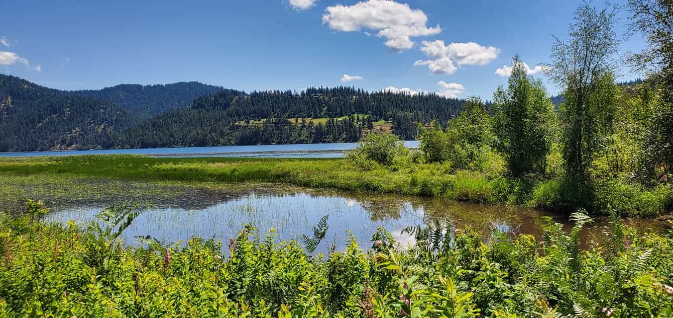 Not Your Average RV Park: This Former Nudist Retreat is Now an RV ...