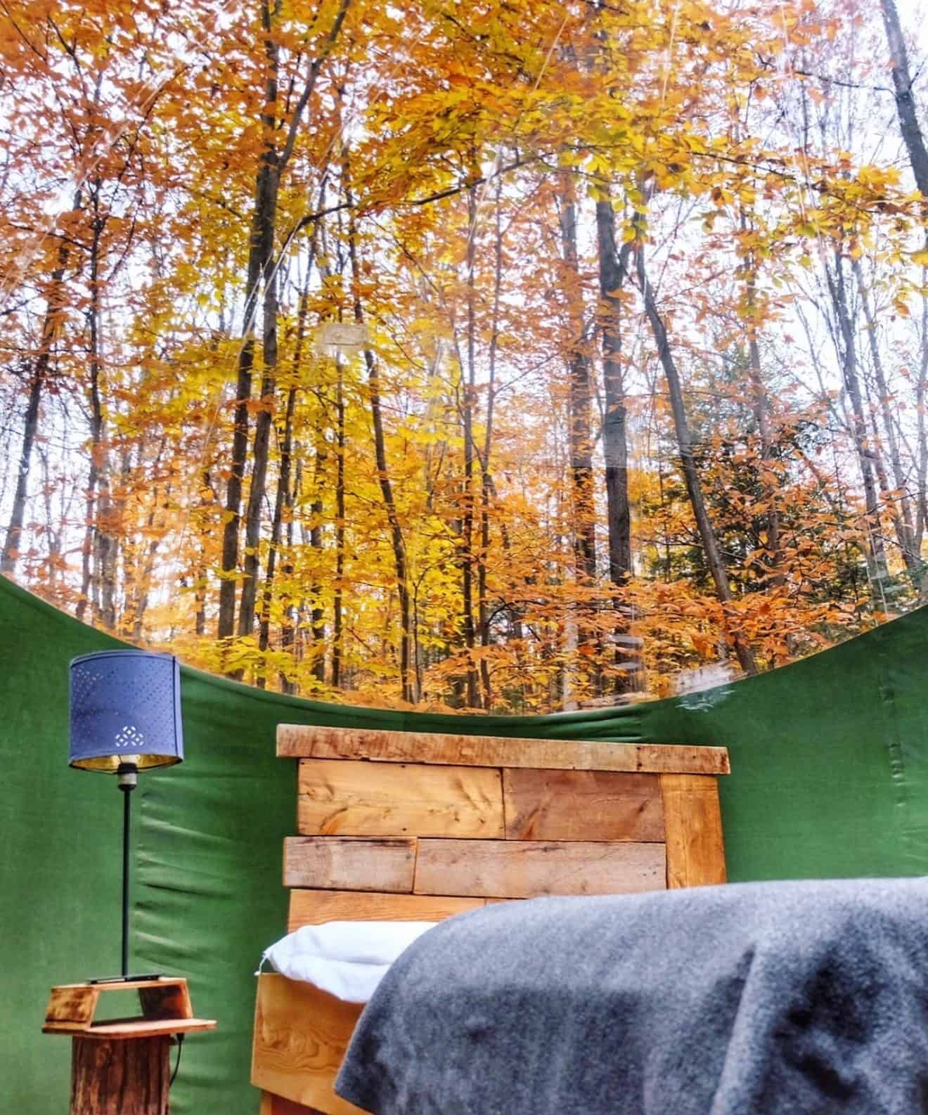 Experience Glamping Under the Stars with these Bubble Tents - Modern ...