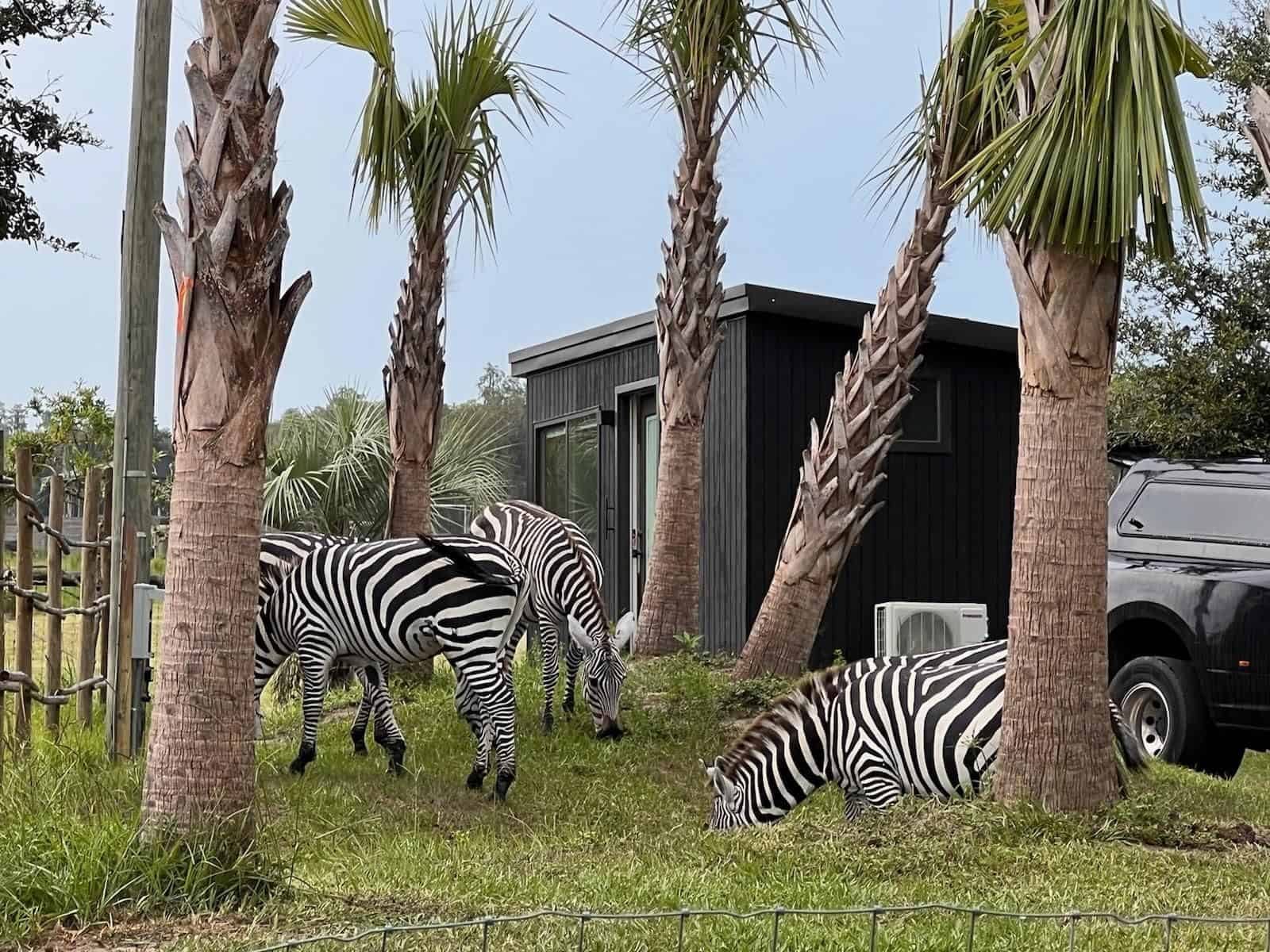 ESCAPE Homes Reveals 120-Square Foot All-Electric Tiny Home - Modern ...