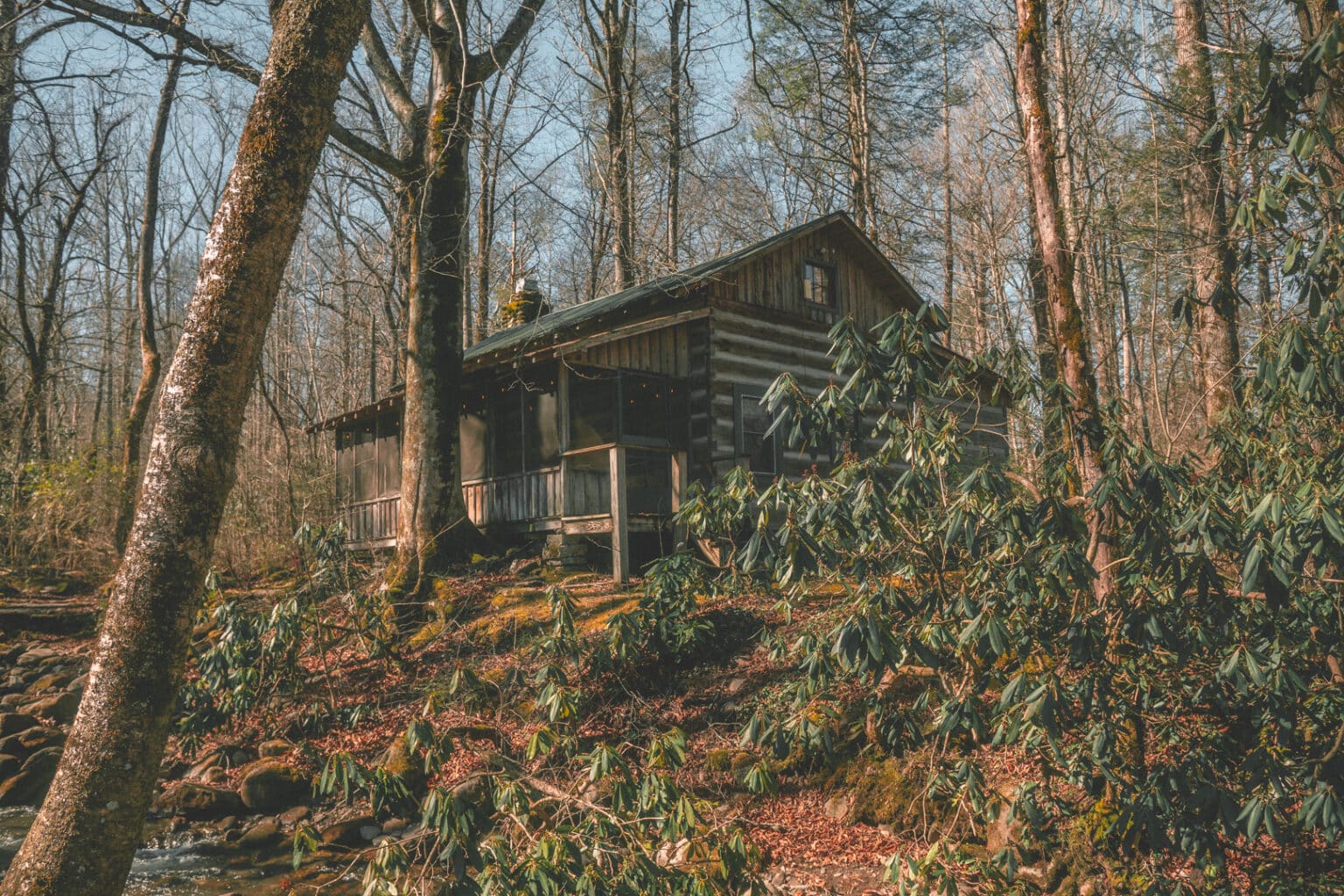 Roamstead Unveils Modernized Campground Brand, First Campsite Location ...