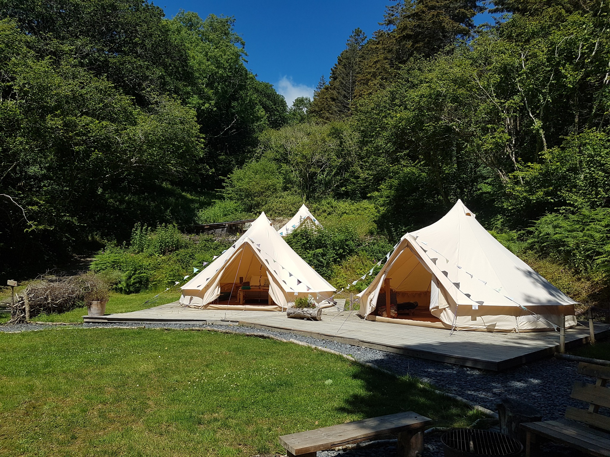 Exploring the Unique Glamping Experience at Nyth Robin in Snowdonia ...