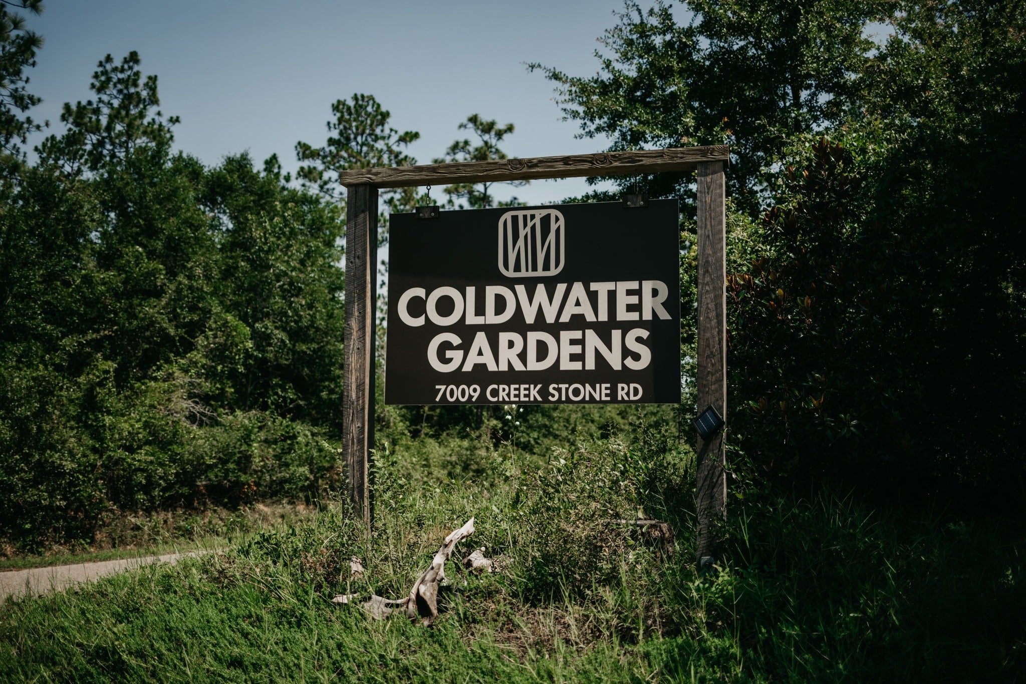 From Tiny Houses to Treehouses: The Unique Stays of Coldwater Gardens ...