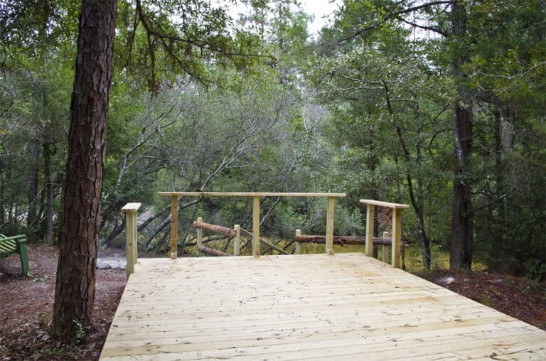 From Tiny Houses to Treehouses: The Unique Stays of Coldwater Gardens ...