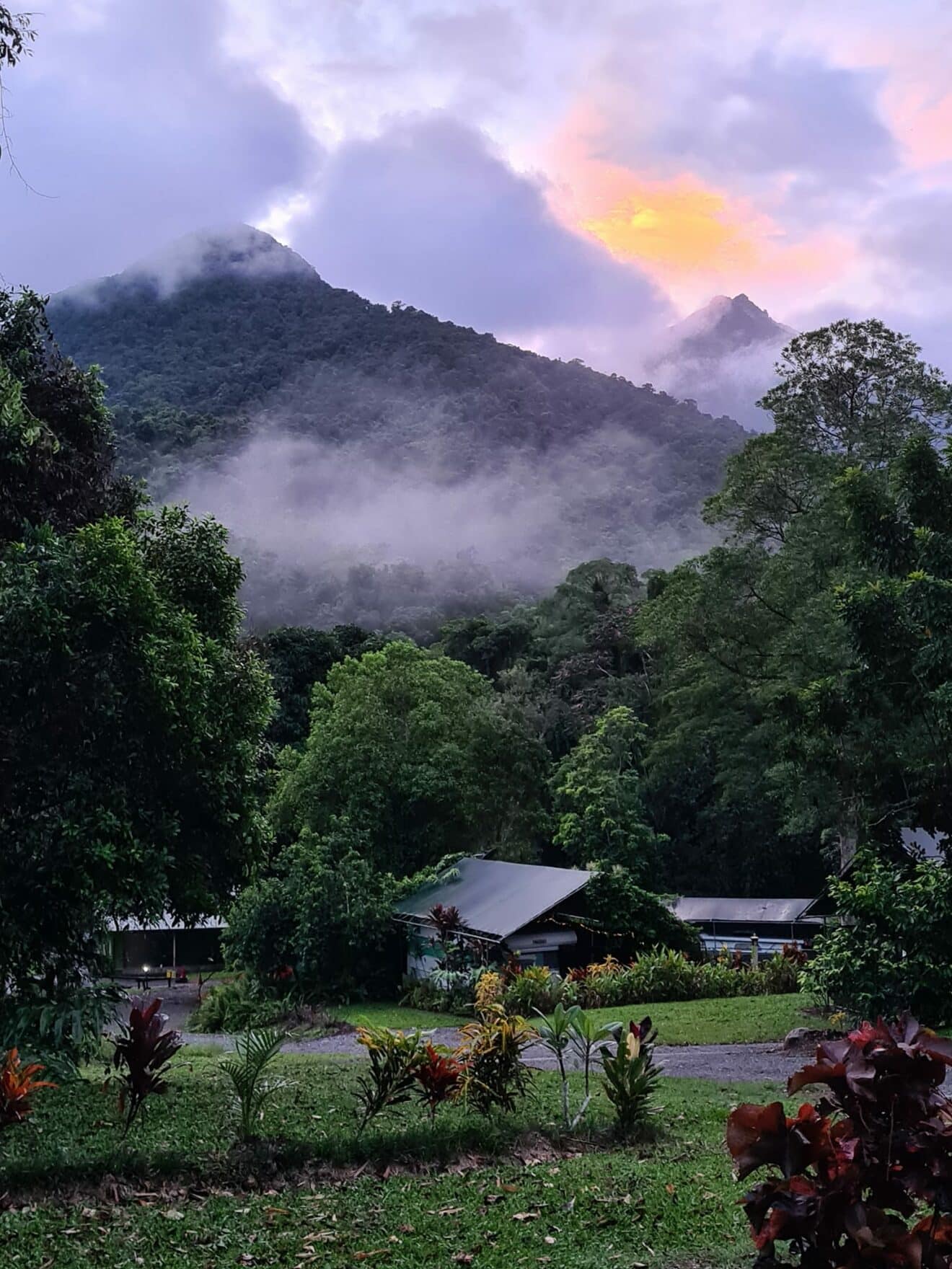 In the Heart of the Daintree, Daintree Rainforest Village Finds Power ...