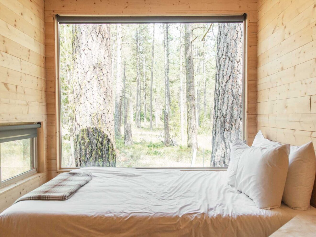 Marriott Acquires Postcard Cabins to Expand Nature-Based Offerings ...